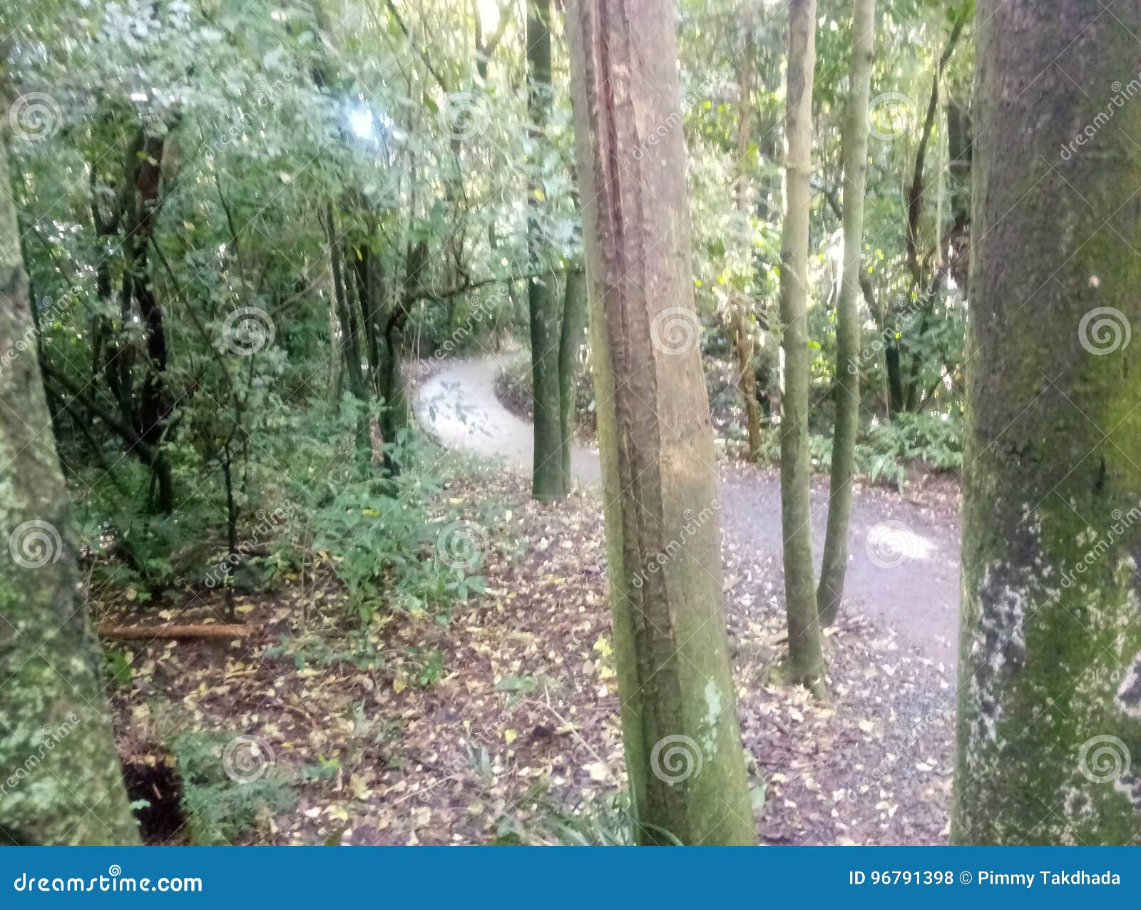 Hidden path stock photo. Image of pedestrian, hidden - 96791398