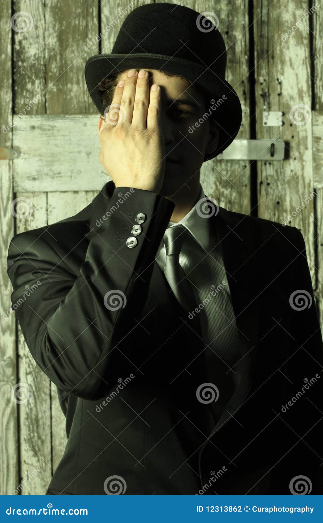 Hidden Portrait stock photo. Image of model, elegant - 12313862