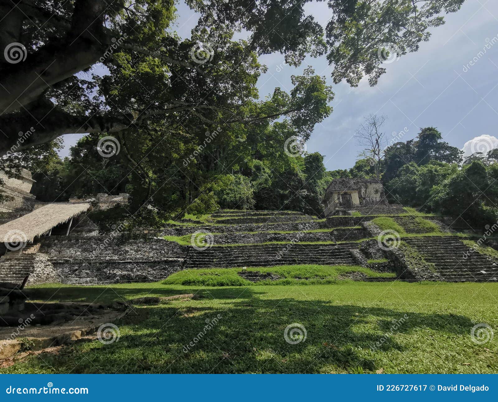 Pyramid In The Jungle By Tikal - Guatemala Stock Photography ...