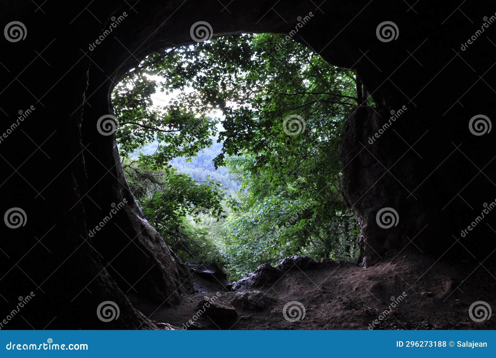 Hidden Remote Cave Entrance in the Forest from Inside Stock Photo ...