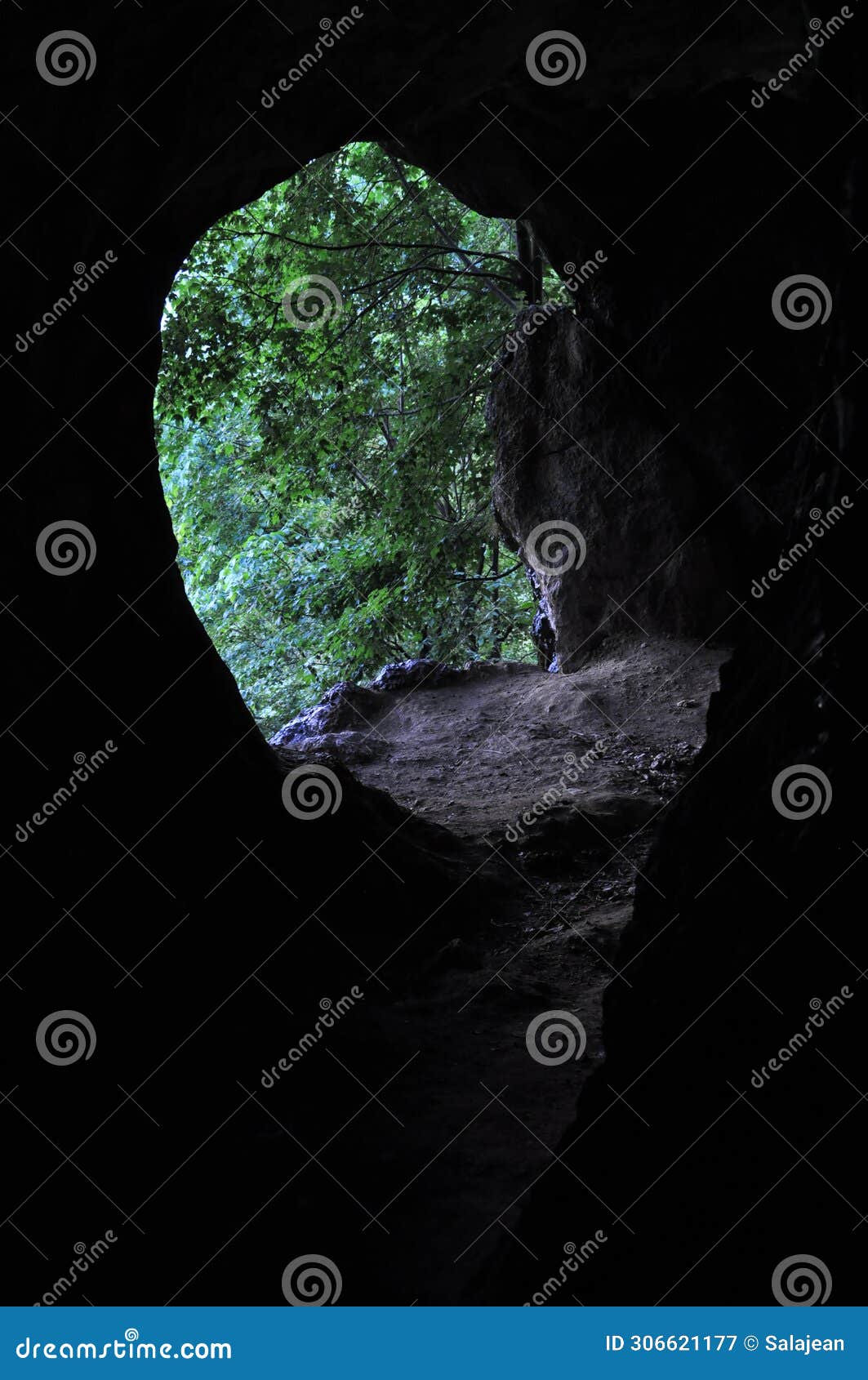 Hidden Remote Cave Entrance in the Forest from Inside Stock Image ...
