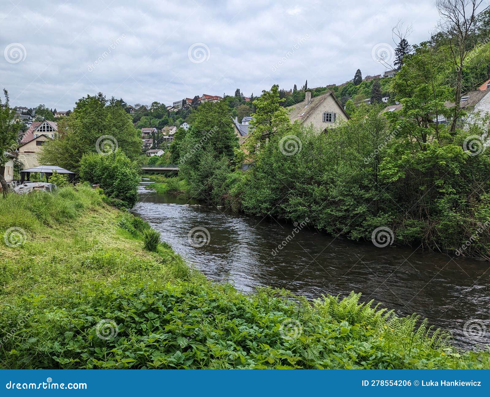 Hidden River Royalty-Free Stock Photo | CartoonDealer.com #261959889