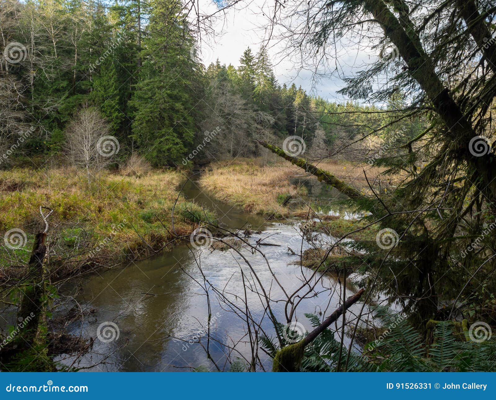 Hidden River stock image. Image of river, garden, landscape - 91526331