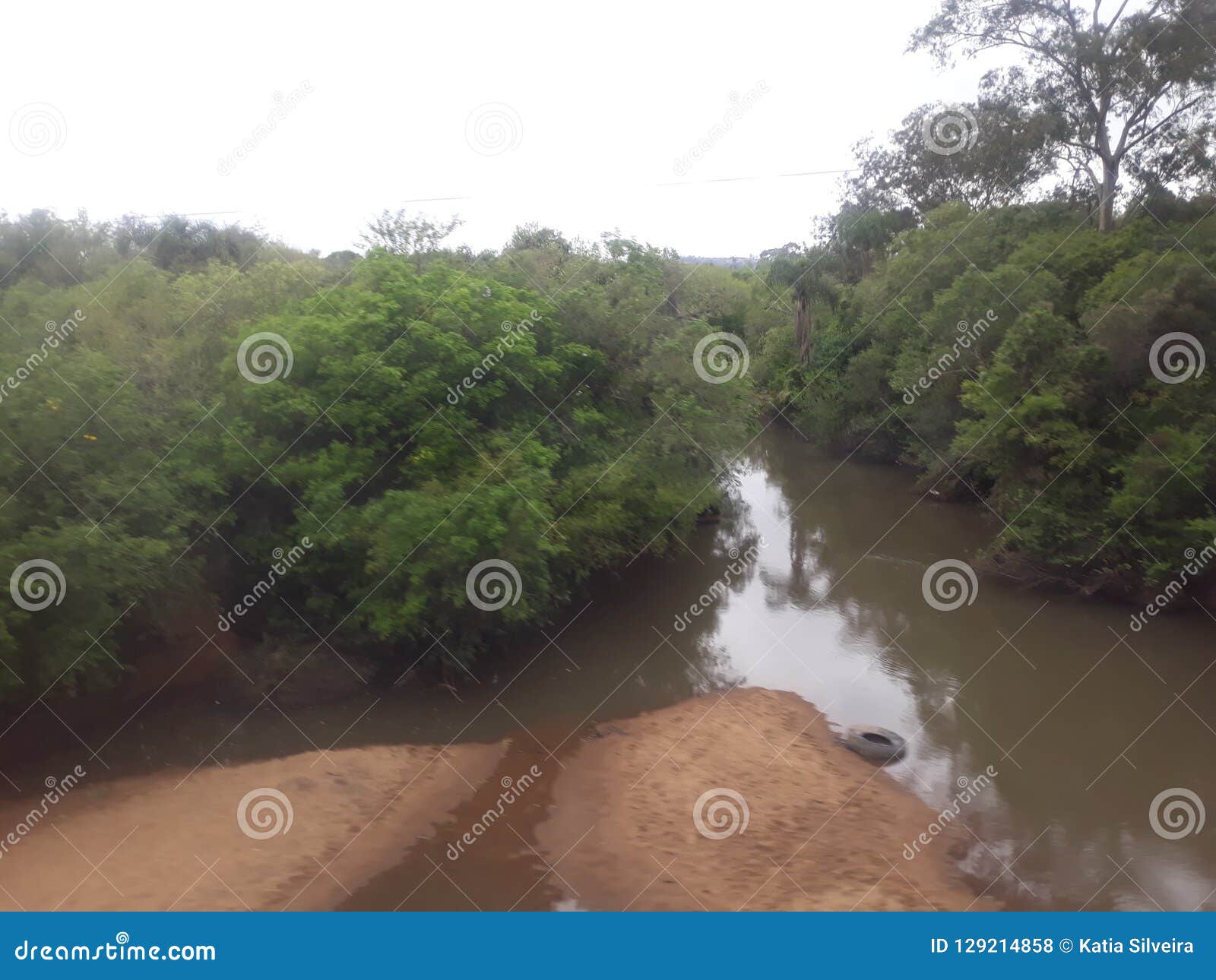 A hidden river stock photo. Image of small, hidden, native - 129214858