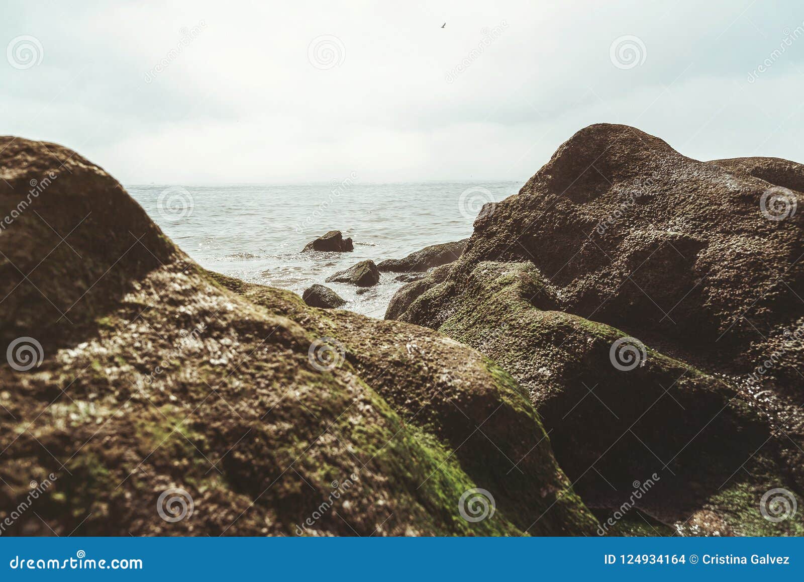 Rocks at the beach stock photo. Image of scale, natural - 124934164