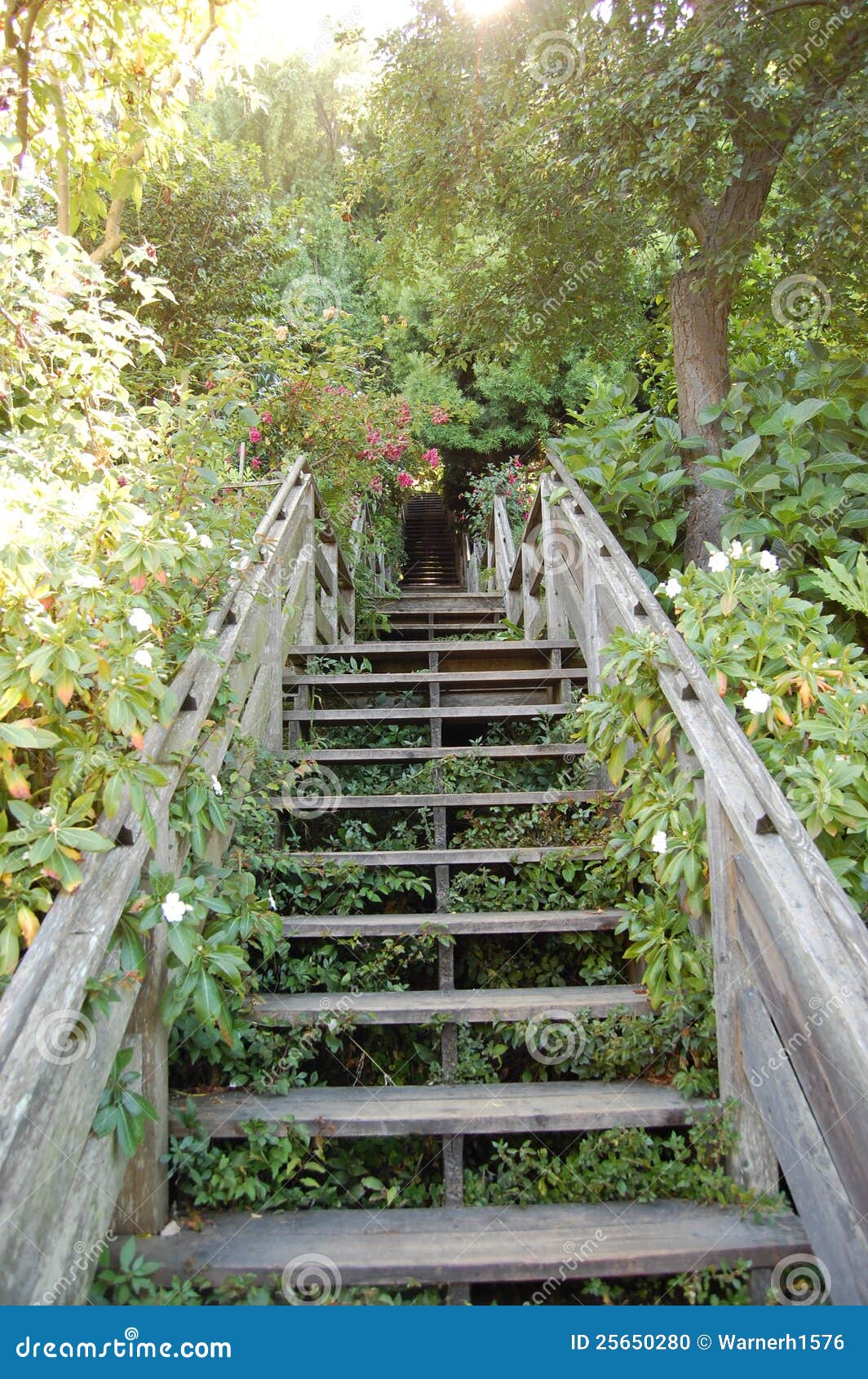 Hidden Stairway on Telegraph Hill Stock Photo - Image of telegraph ...