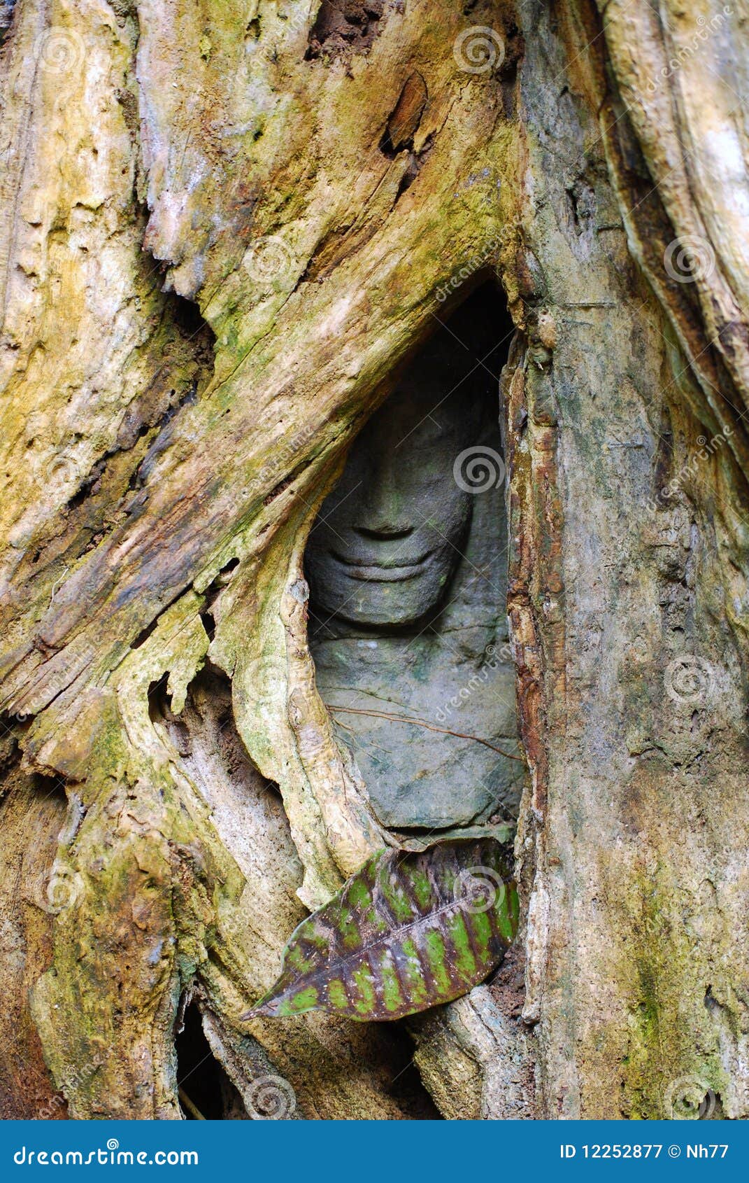 Stone Face In Source Of Drinking Water Built In 1749, 18th Century ...