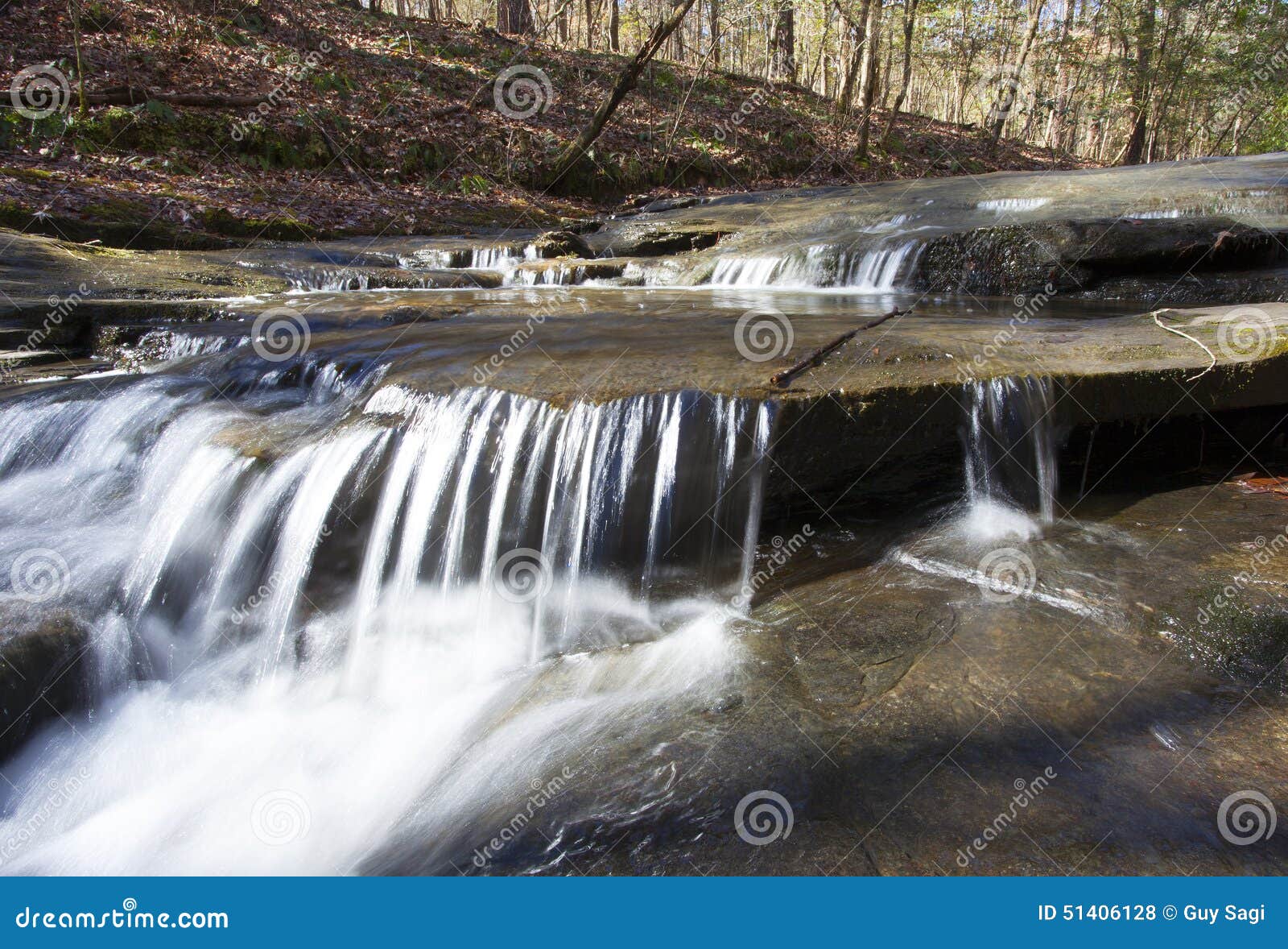 Hidden stream stock photo. Image of carolina, waterfall - 51406128