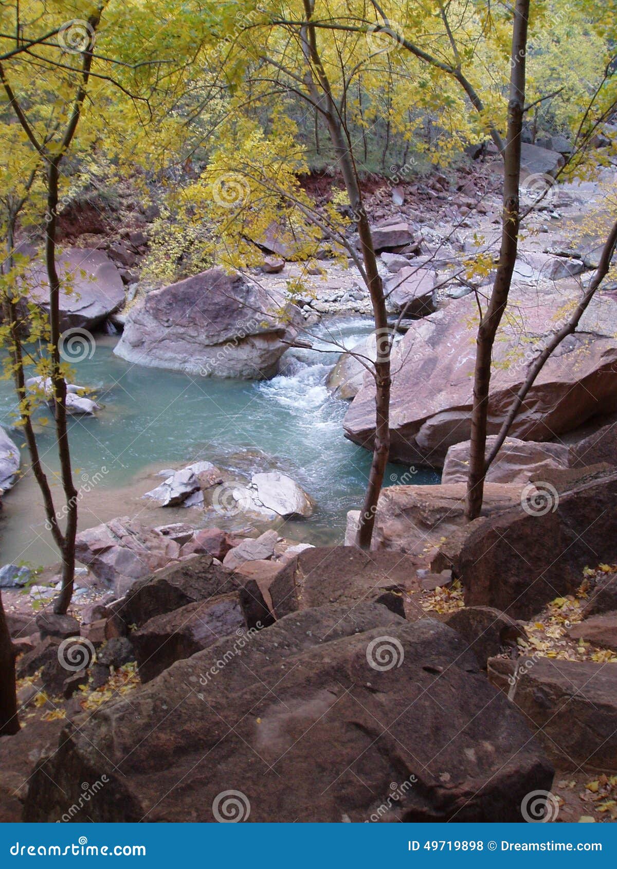 Hidden stream stock photo. Image of nature, stream, river - 49719898