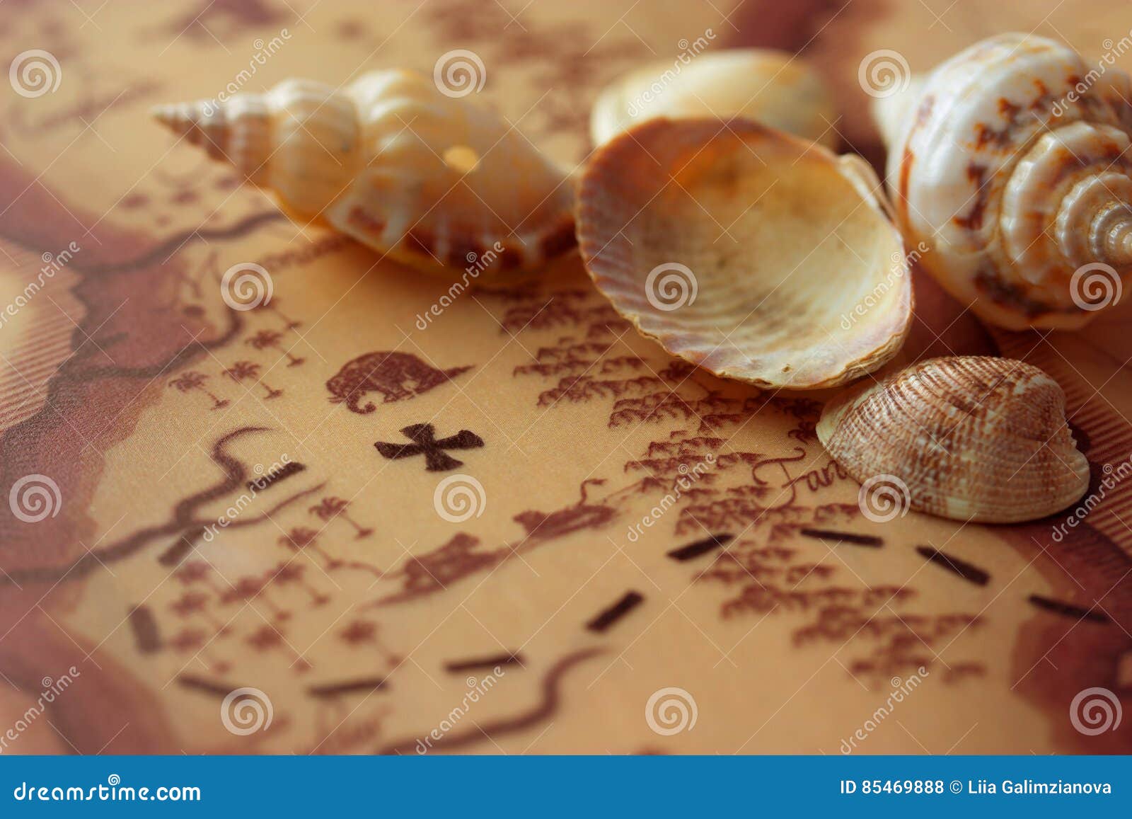 Hidden Treasure Map and Shells Stock Photo - Image of history, board ...