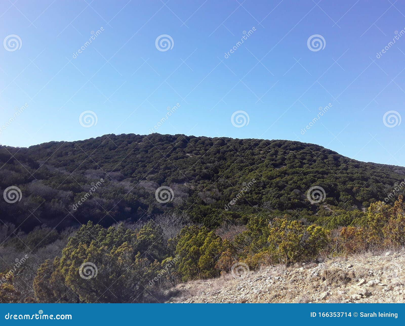Hidden treasure spring gap stock photo. Image of natural - 166353714