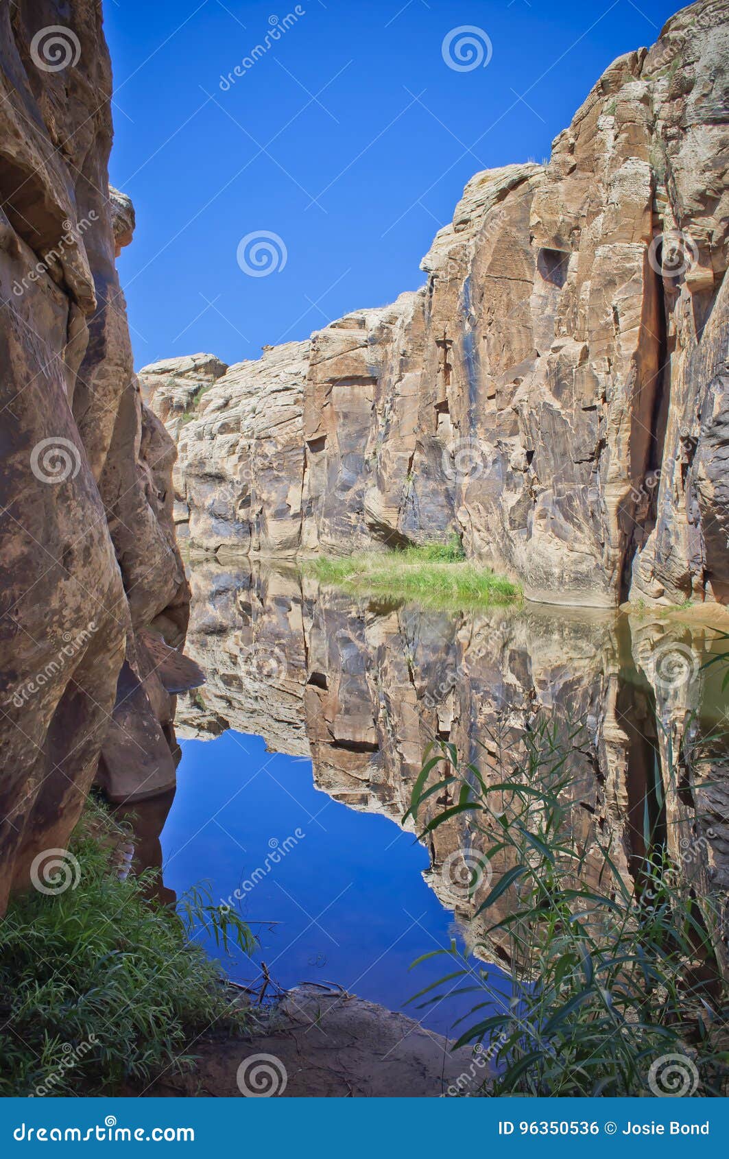 Hidden Water Steps In Gorge Stock Image | CartoonDealer.com #51814375