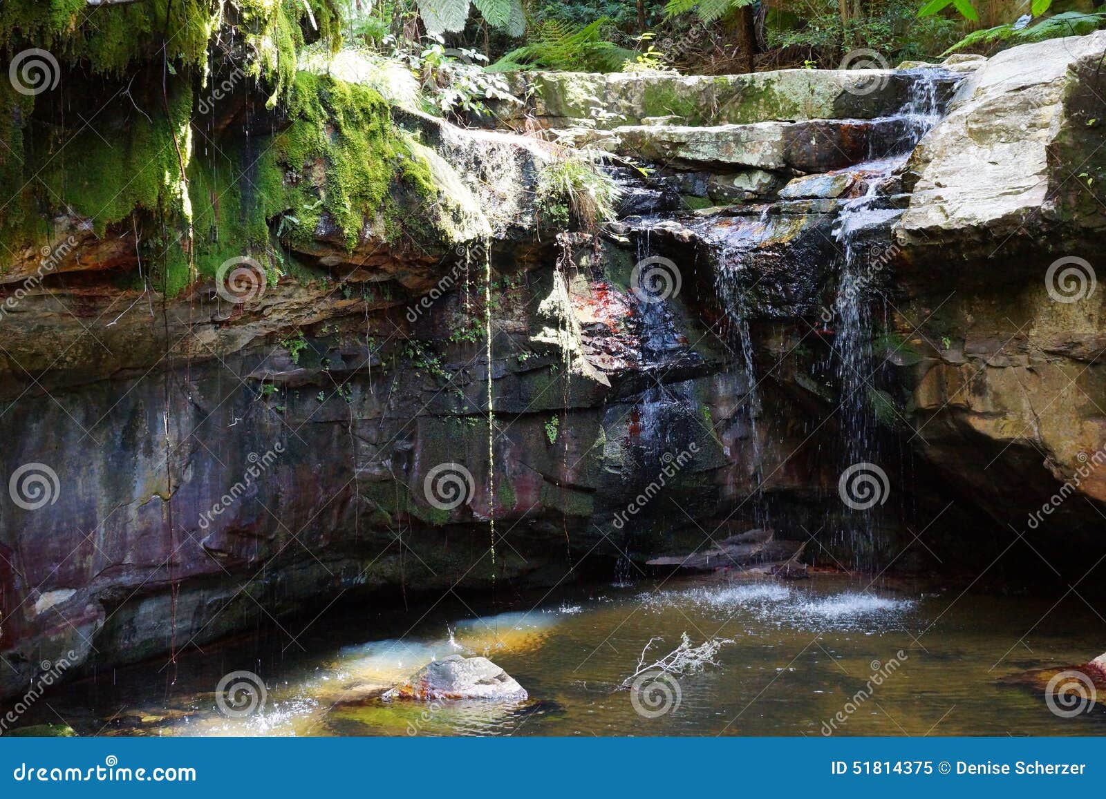 Hidden Water Steps in Gorge Stock Image - Image of rock, environment ...