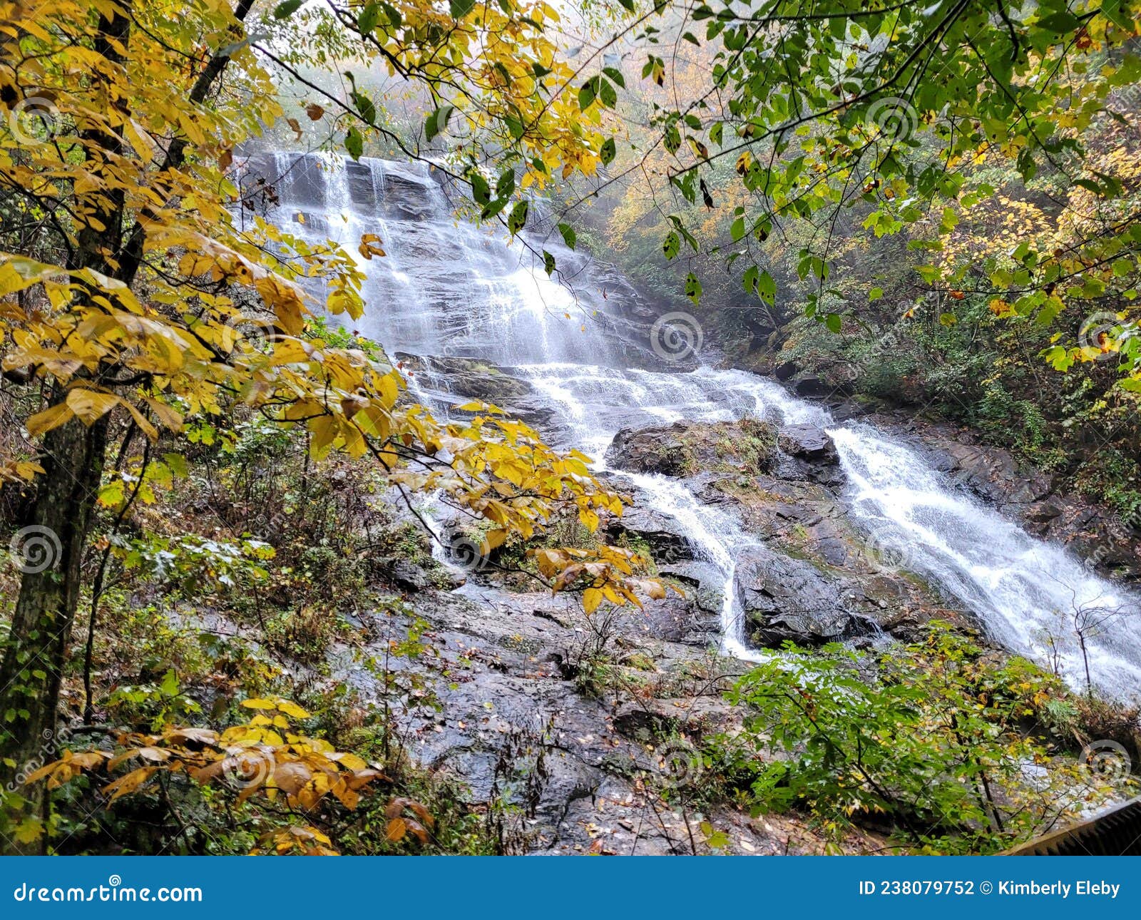 Hidden Waterfall within stock photo. Image of watercourse - 238079752