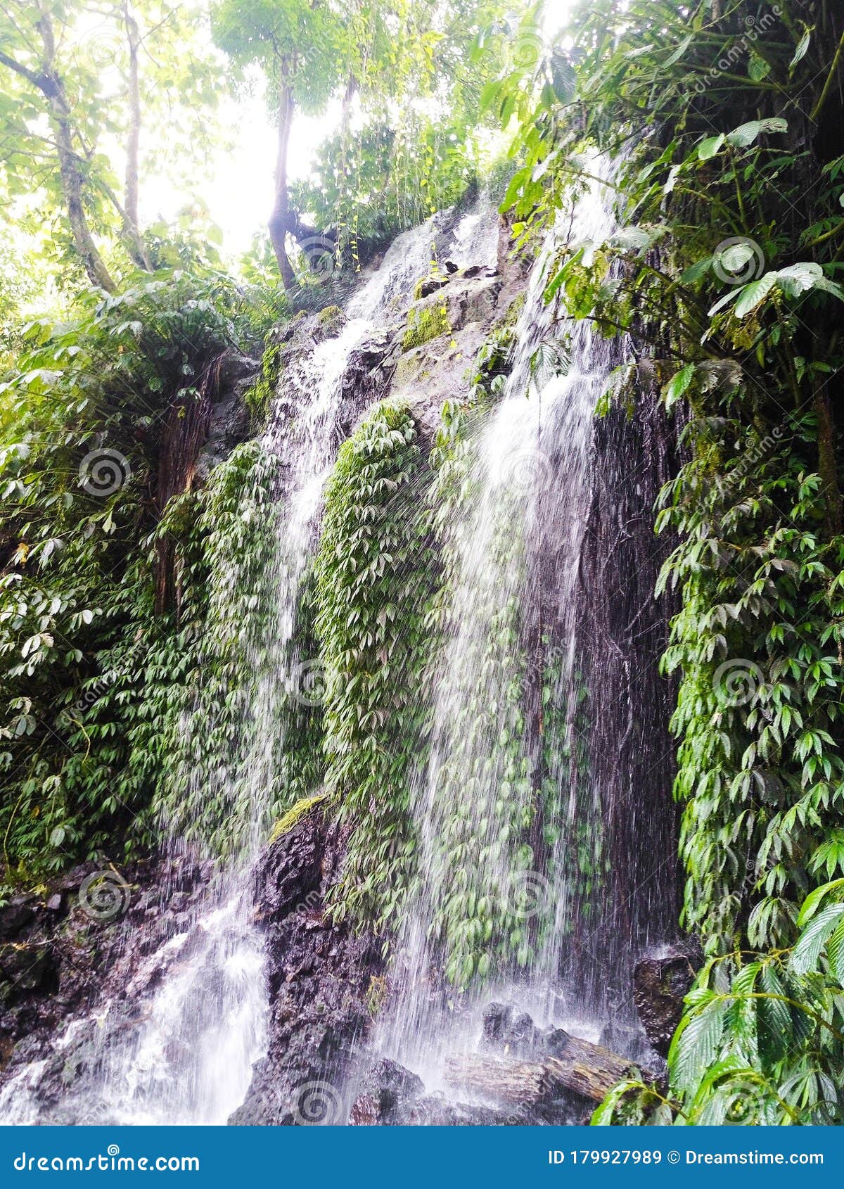 Hidden waterfall in Bali stock image. Image of waterfall - 179927989