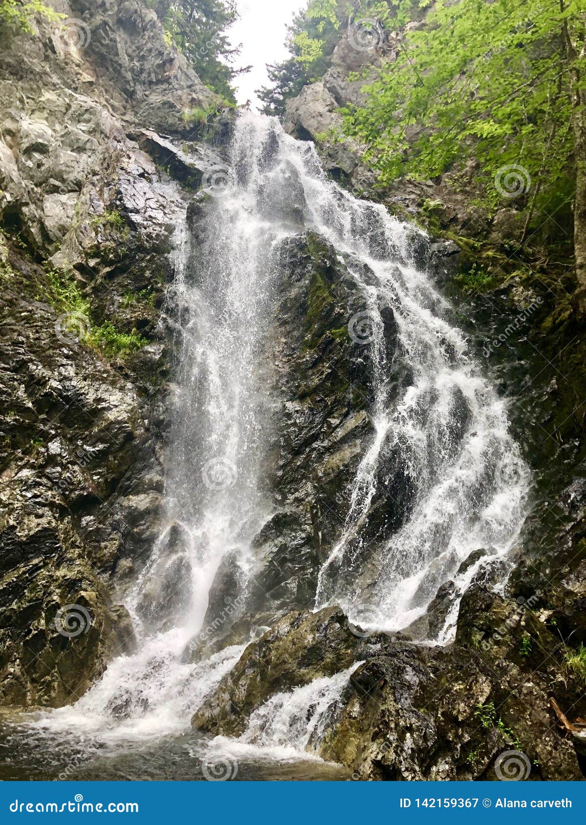 Hidden waterfall stock image. Image of wild, water, scenic - 142159367