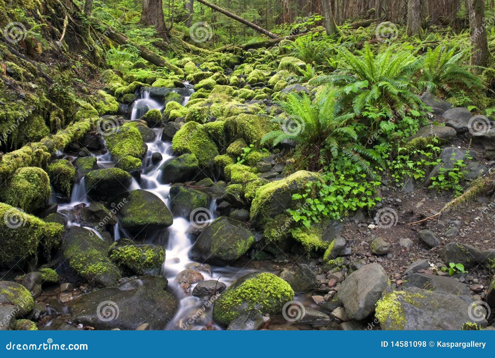 Waterfall Stream Canyon Landscape. Rapid Stream Current Water Between ...