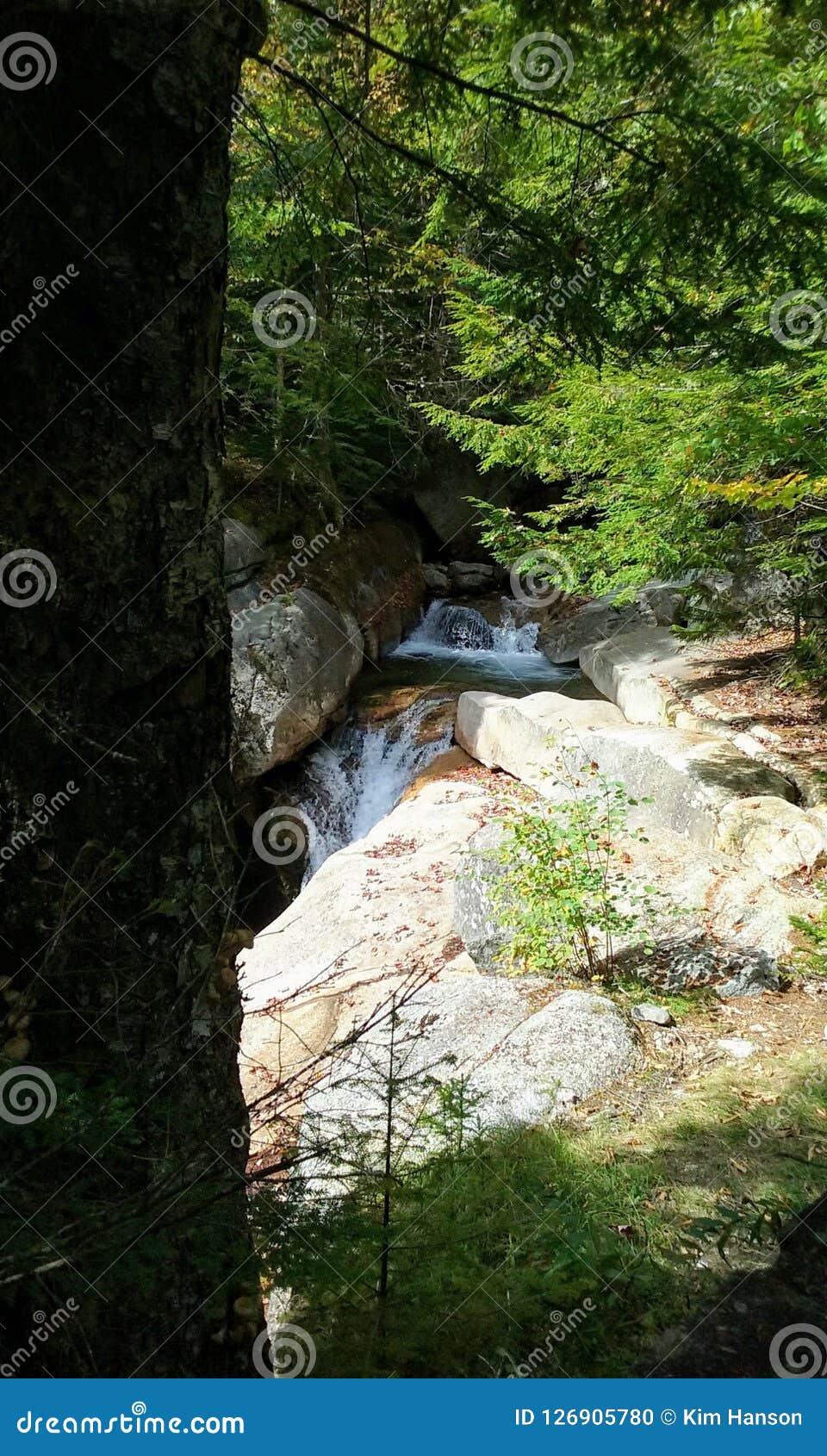 Hidden waterfall stock photo. Image of waterfall, trees - 126905780