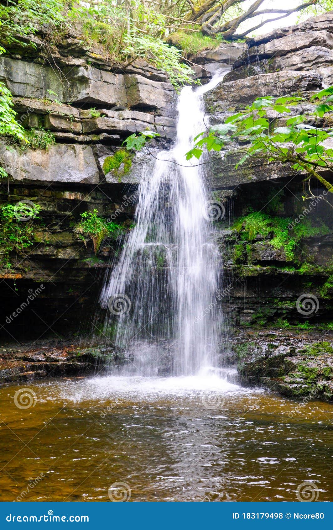 Hidden Waterfall on Woodland Path Stock Photo - Image of rapid, forest ...