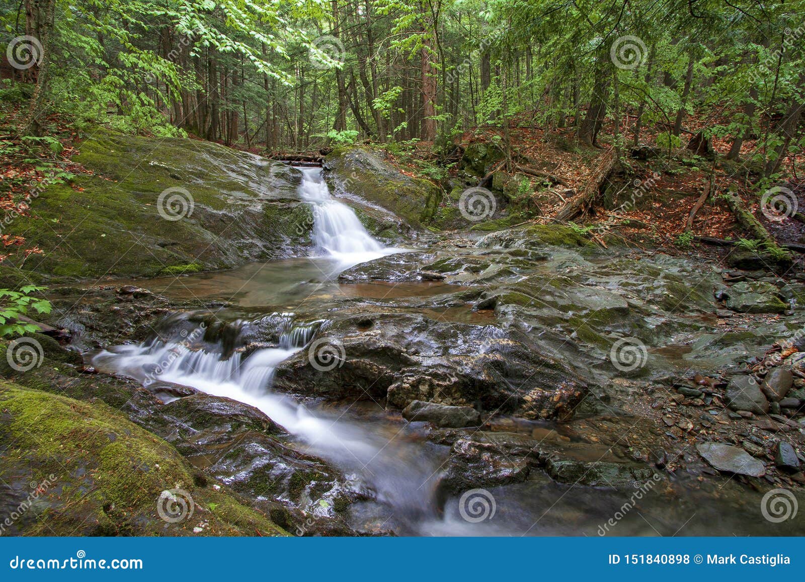 Hidden Waterfalls in the Forest Stock Photo - Image of forest ...