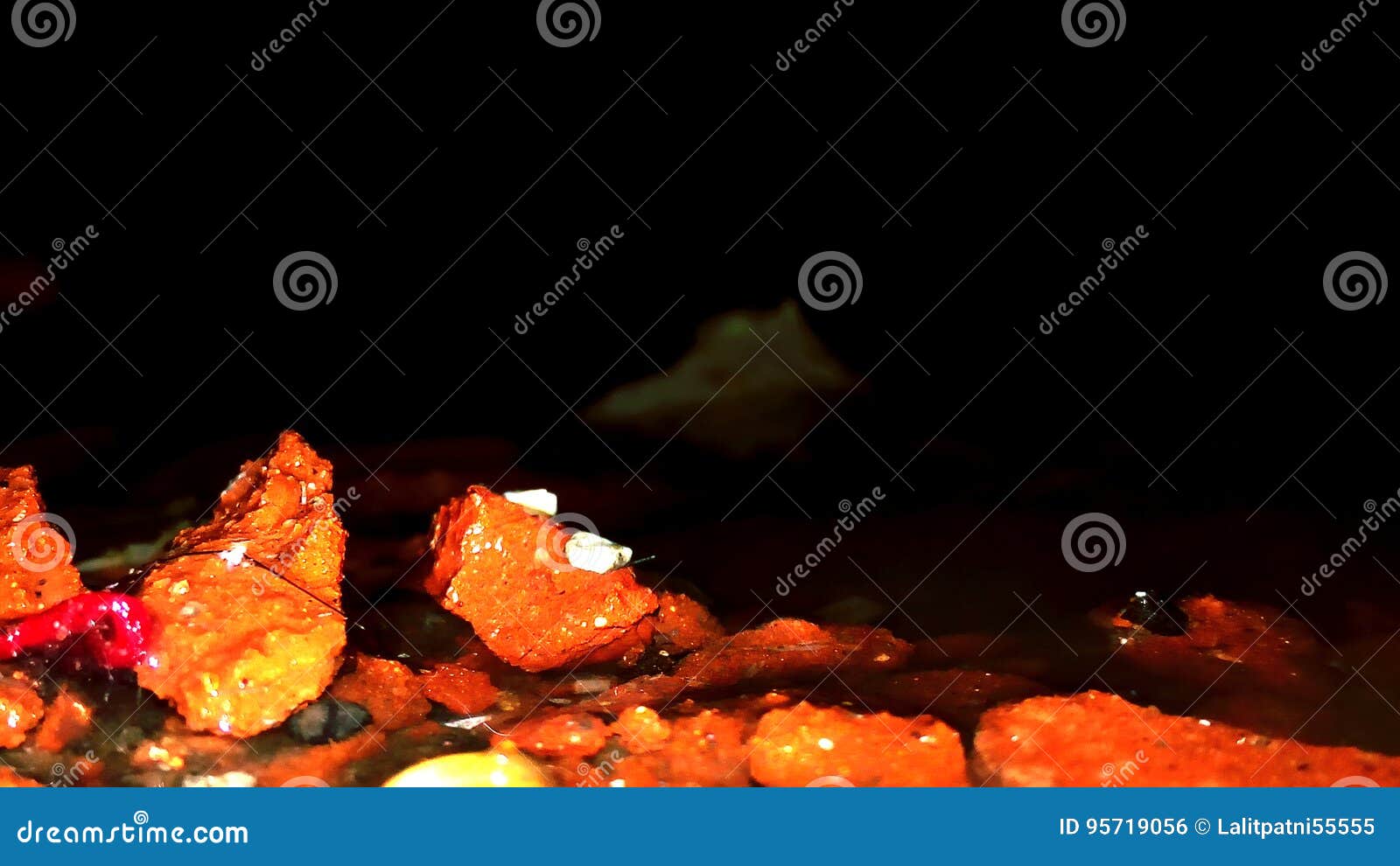 Hidden World Sense Stock Photos - Free & Royalty-Free Stock Photos from ...