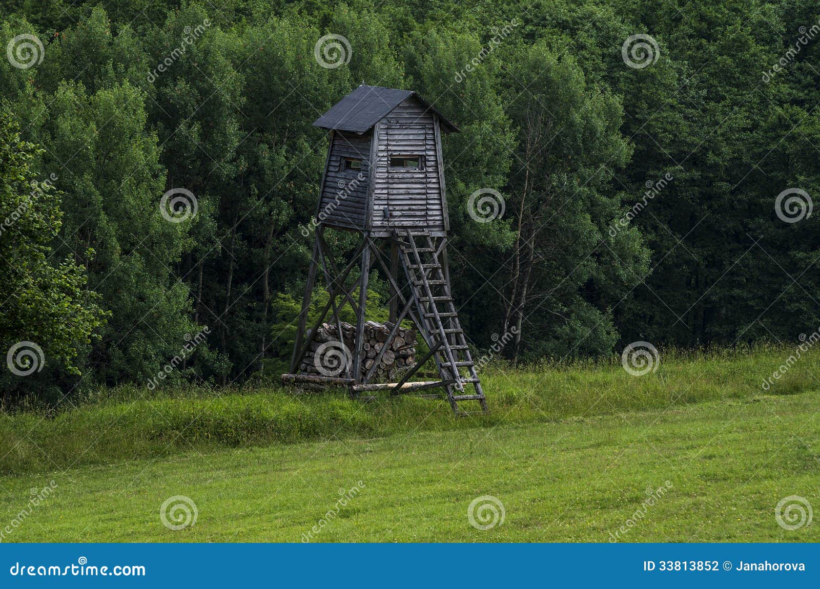Hide stock photo. Image of wooden, grass, brown, field - 33813852