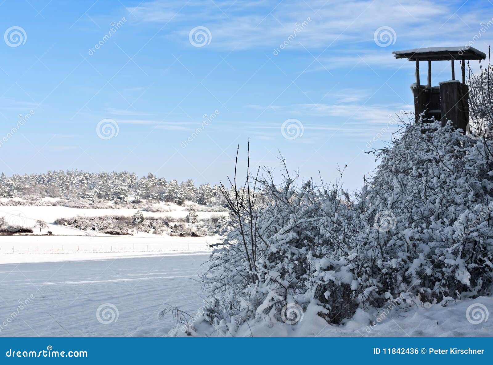 Hide in Winter stock photo. Image of forest, construction - 11842436