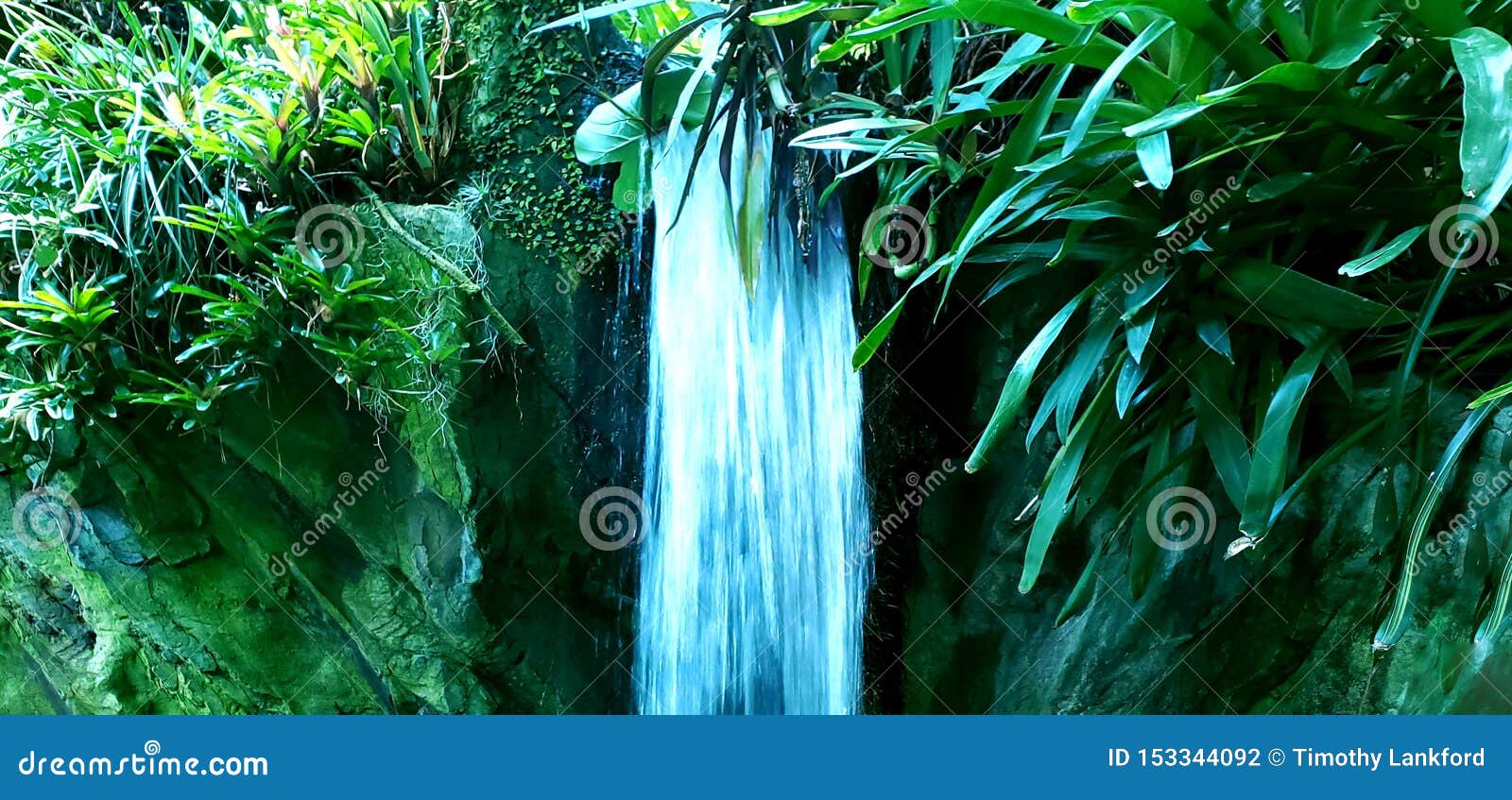 Hideaway Waterfall stock photo. Image of rocks, greenery - 153344092