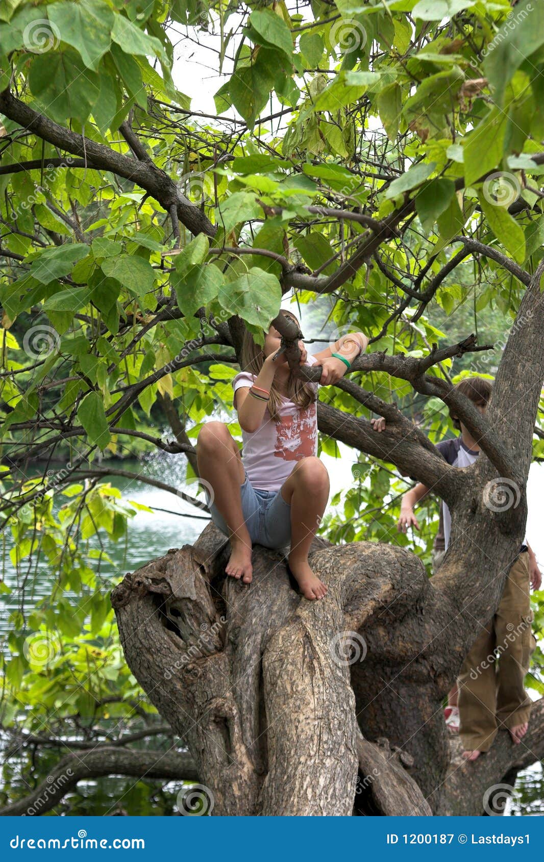 Hiding stock image. Image of children, health, yard, peek - 1200187