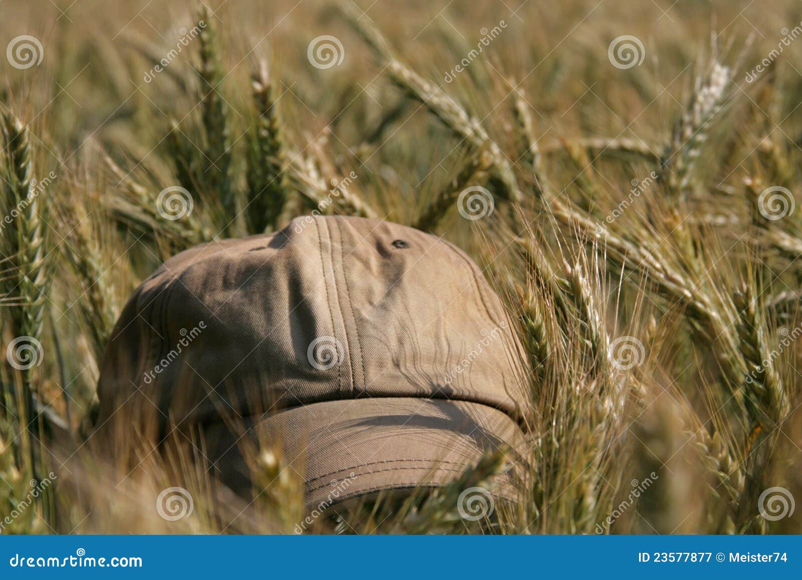 Hiding stock image. Image of crop, hide, seek, shadow - 23577877