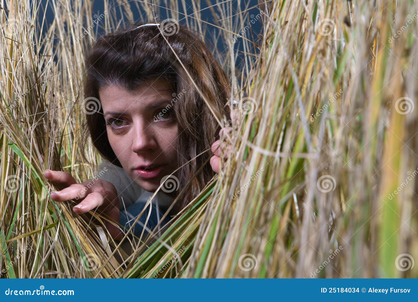 Hiding stock photo. Image of curious, hiding, look, senjoy - 25184034