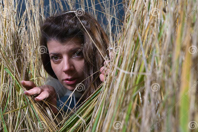 Hiding stock photo. Image of curious, hiding, look, senjoy - 25184034
