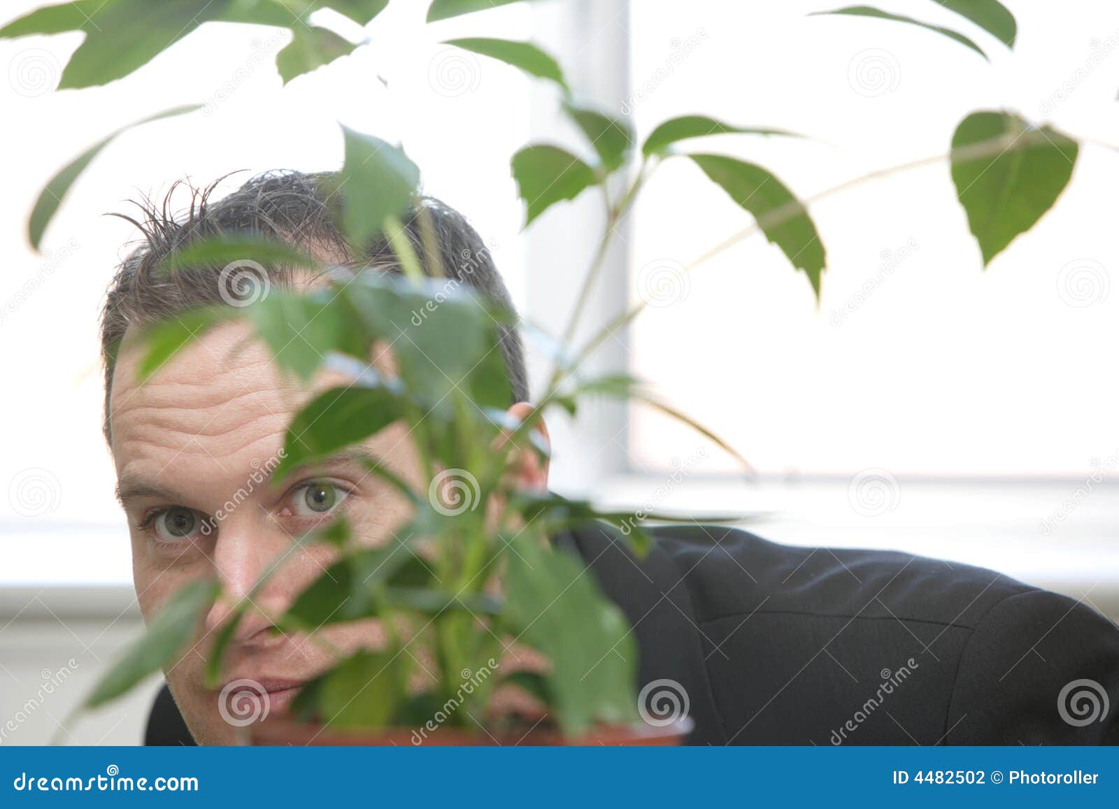 Hiding stock photo. Image of expression, boss, business - 4482502