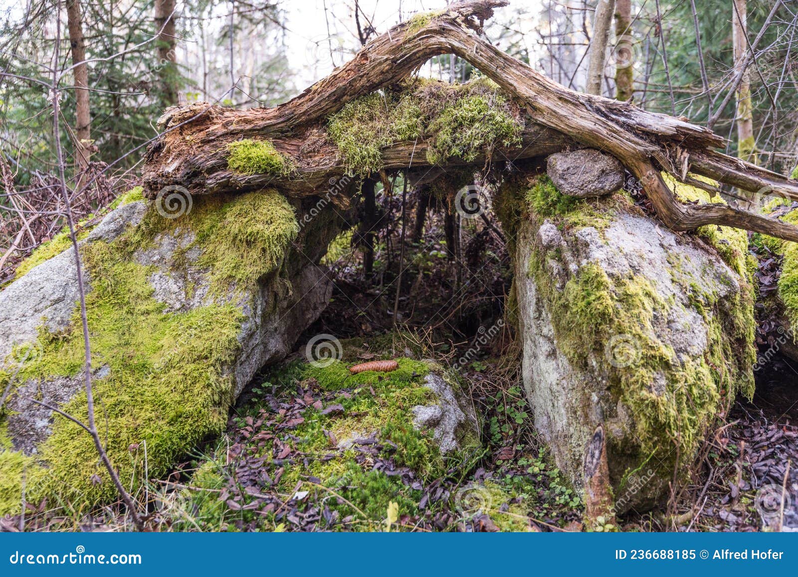 Hiding in a cave - nature stock image. Image of mountain - 236688185