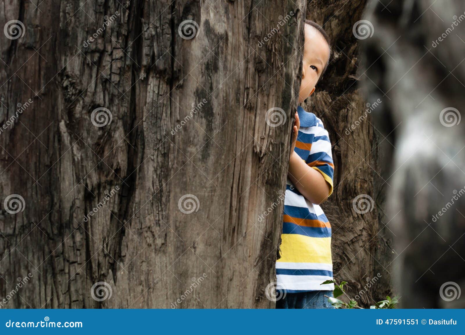 Chinese kid hiding stock image. Image of tree, puzzled - 47591551