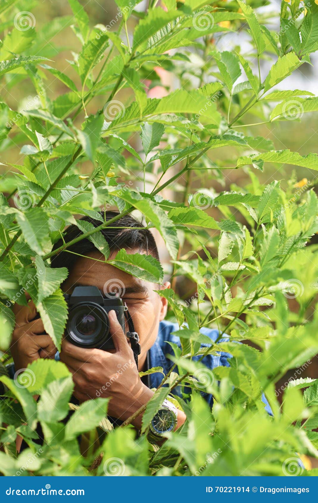 Hiding In The Bushes