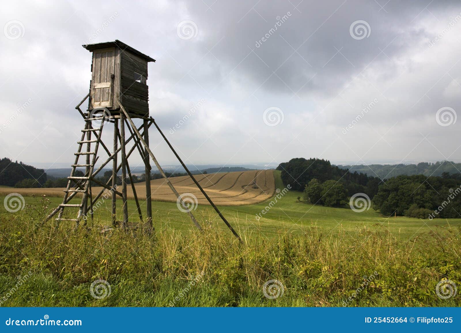 Hiding place for hunters stock photo. Image of hunter - 25452664