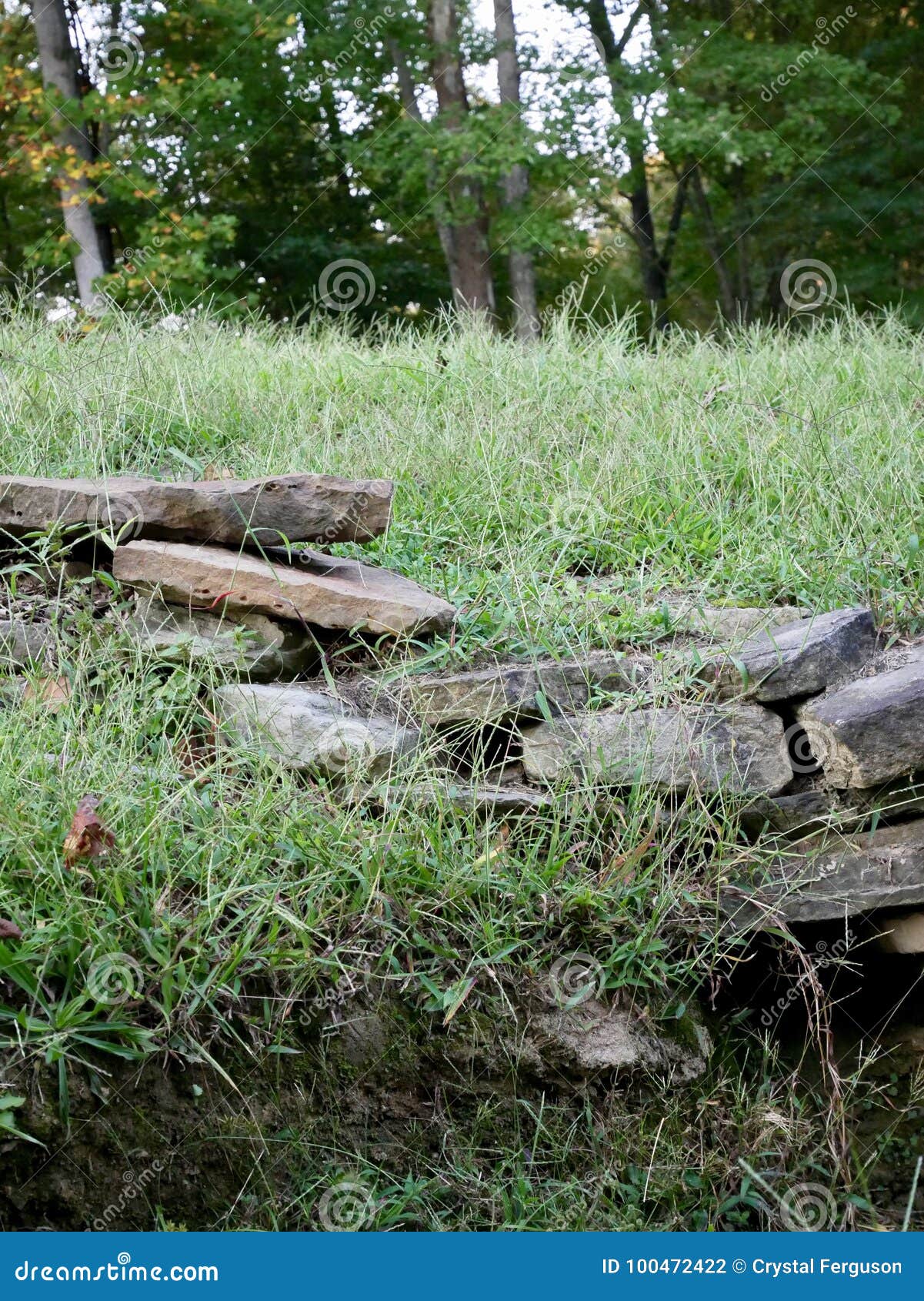 Hiding place stock photo. Image of ledge, hiding, overgrown - 100472422