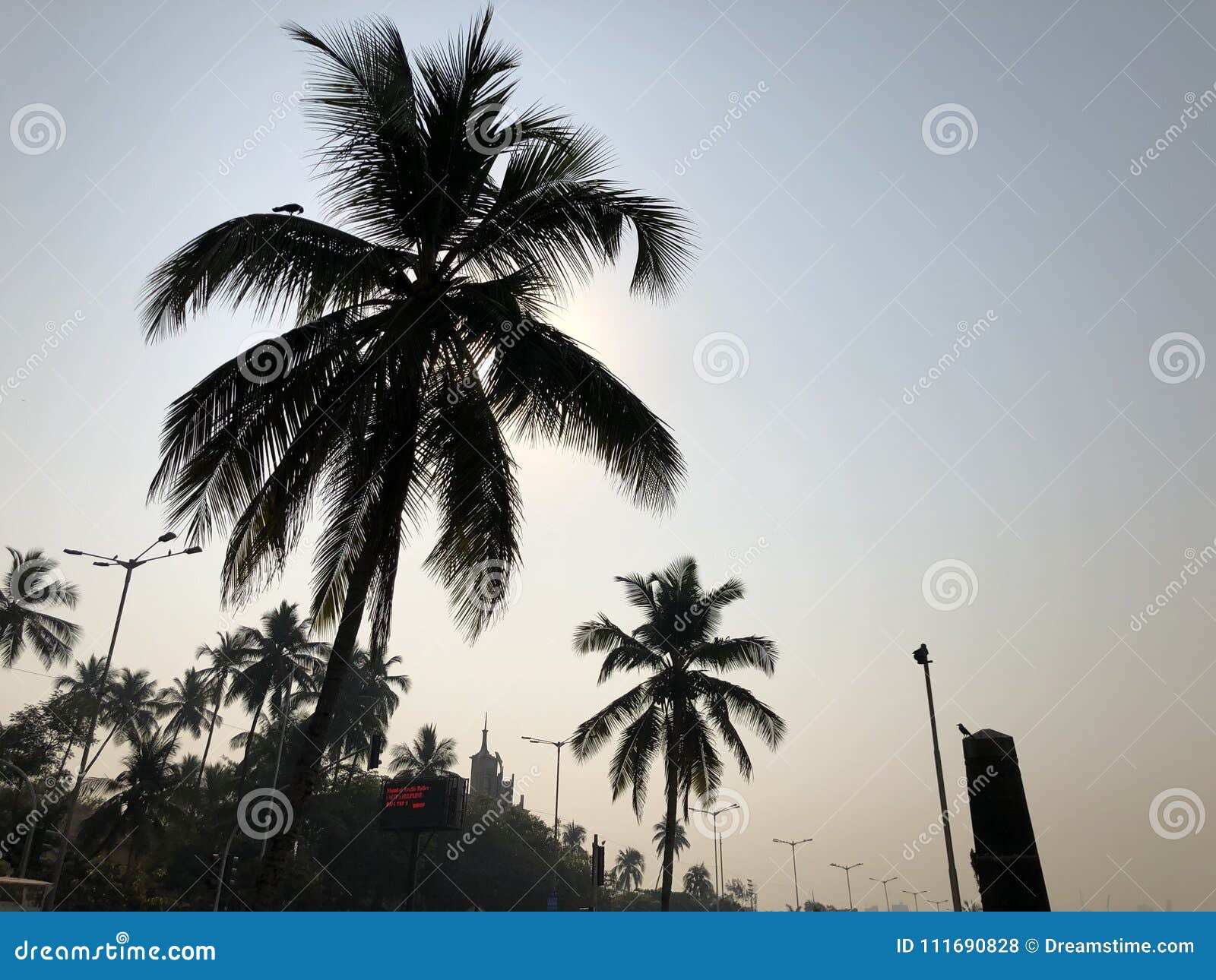 Hiding sun stock photo. Image of morning, hiding, mumbai - 111690828