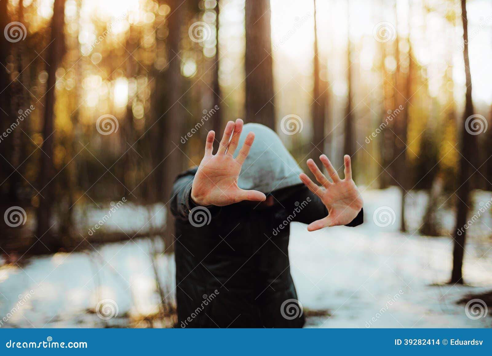 Hiding. stock photo. Image of forest, sunlight, outdoors - 39282414