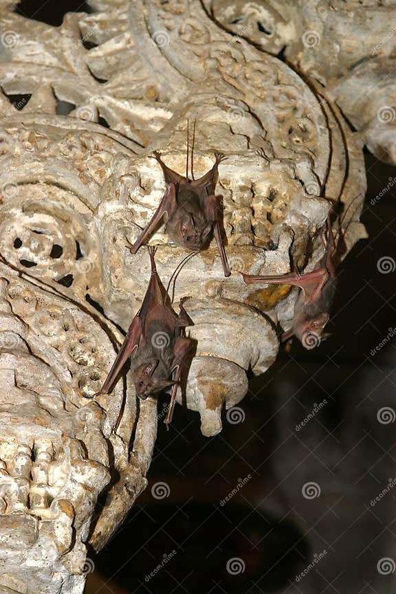 Hiebe in einem Tempel stockbild. Bild von bügel, pfosten - 17757285