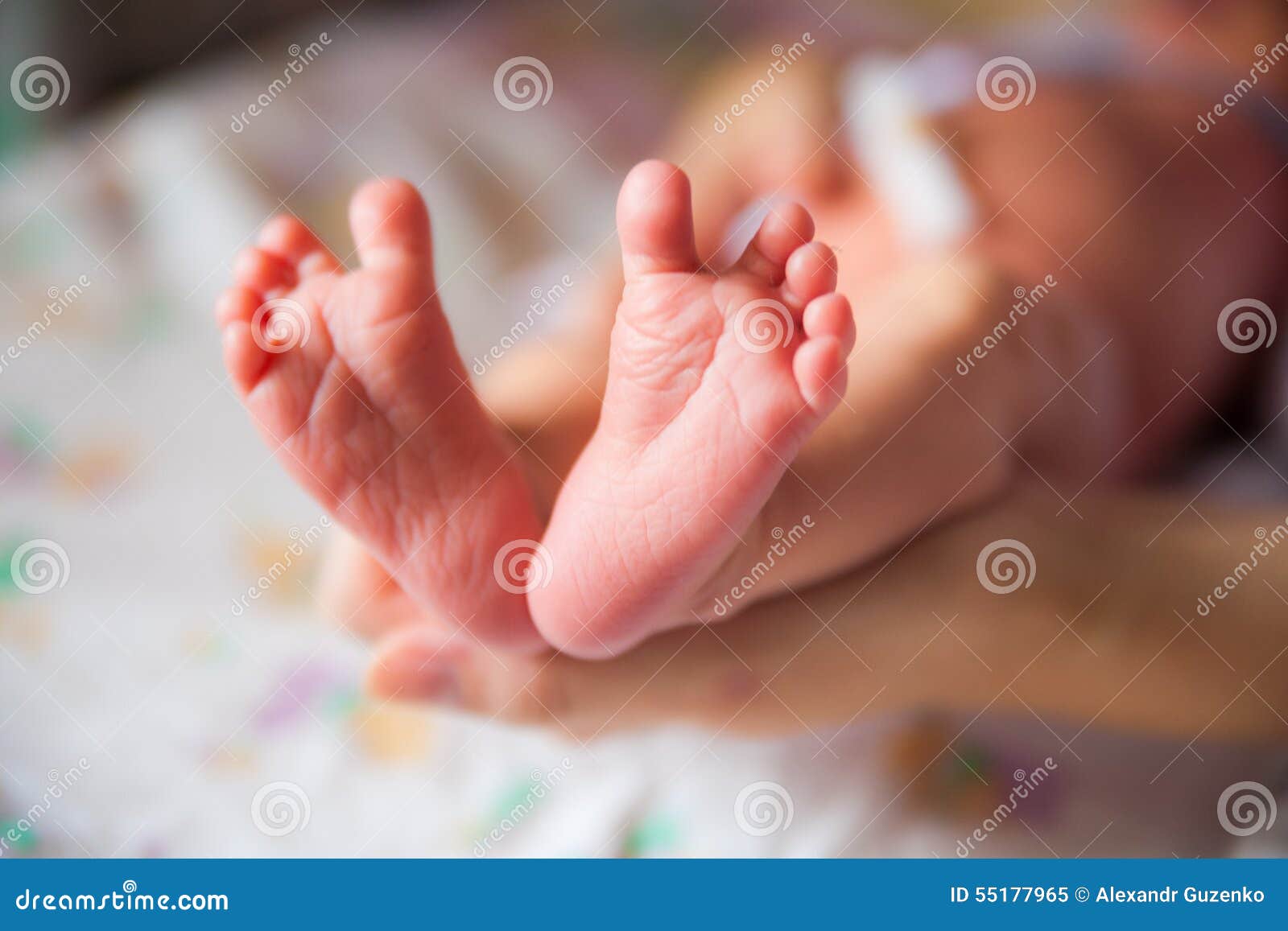 Hielbaby stock afbeelding. Image of hiel, baby, nieuw - 55177965