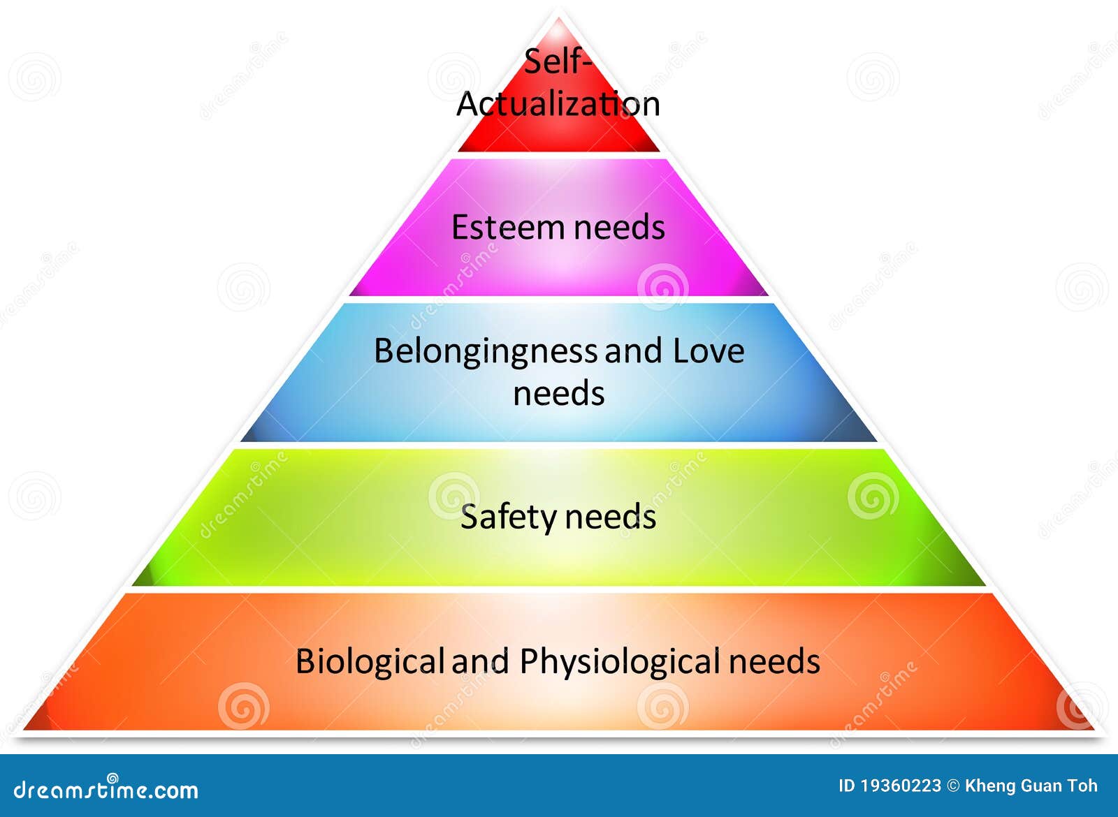Functional Diagram Of Human Brain Vector Illustration | CartoonDealer ...