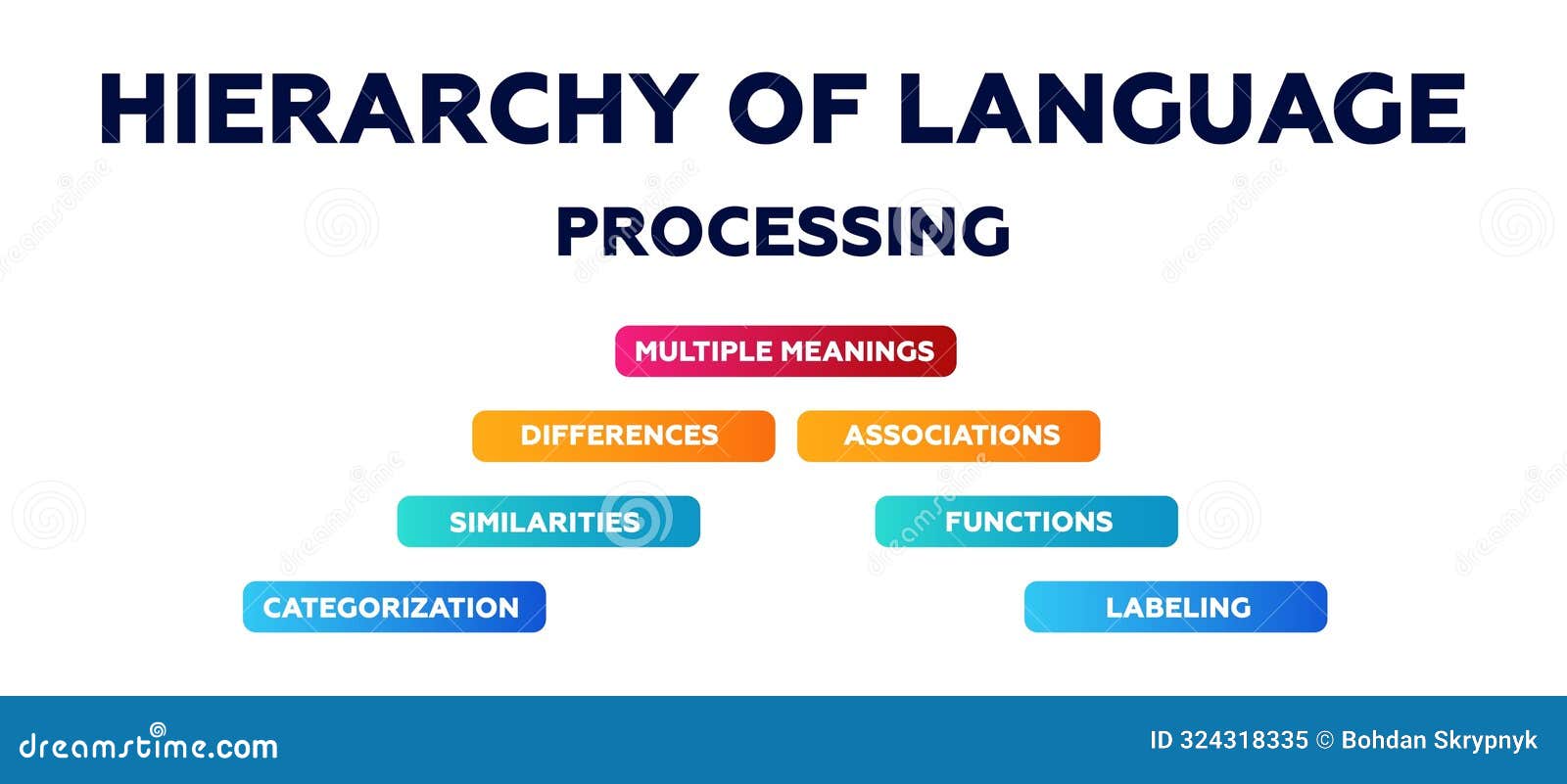 Hierarchy Of Language Diagram Infographic On Similarities And