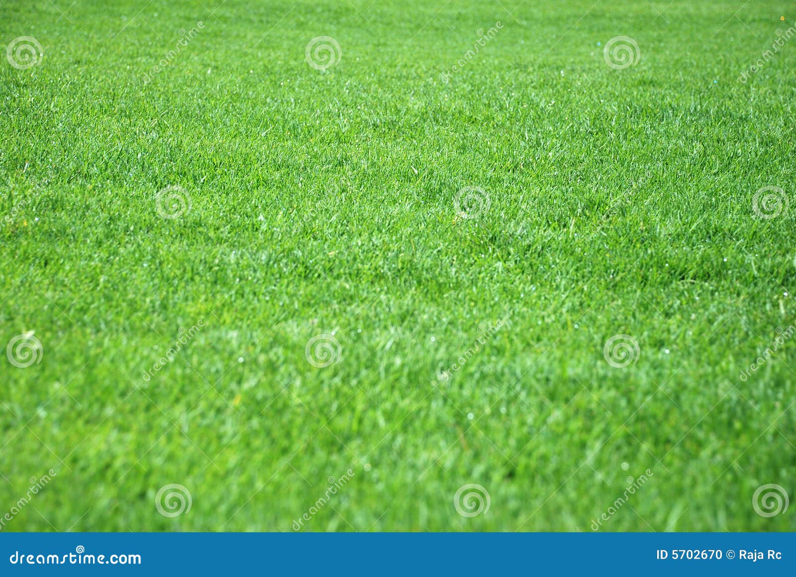 Verde Musgo Color Pictures And Images - RGB Color Hex Code [#80C040 - 15%]