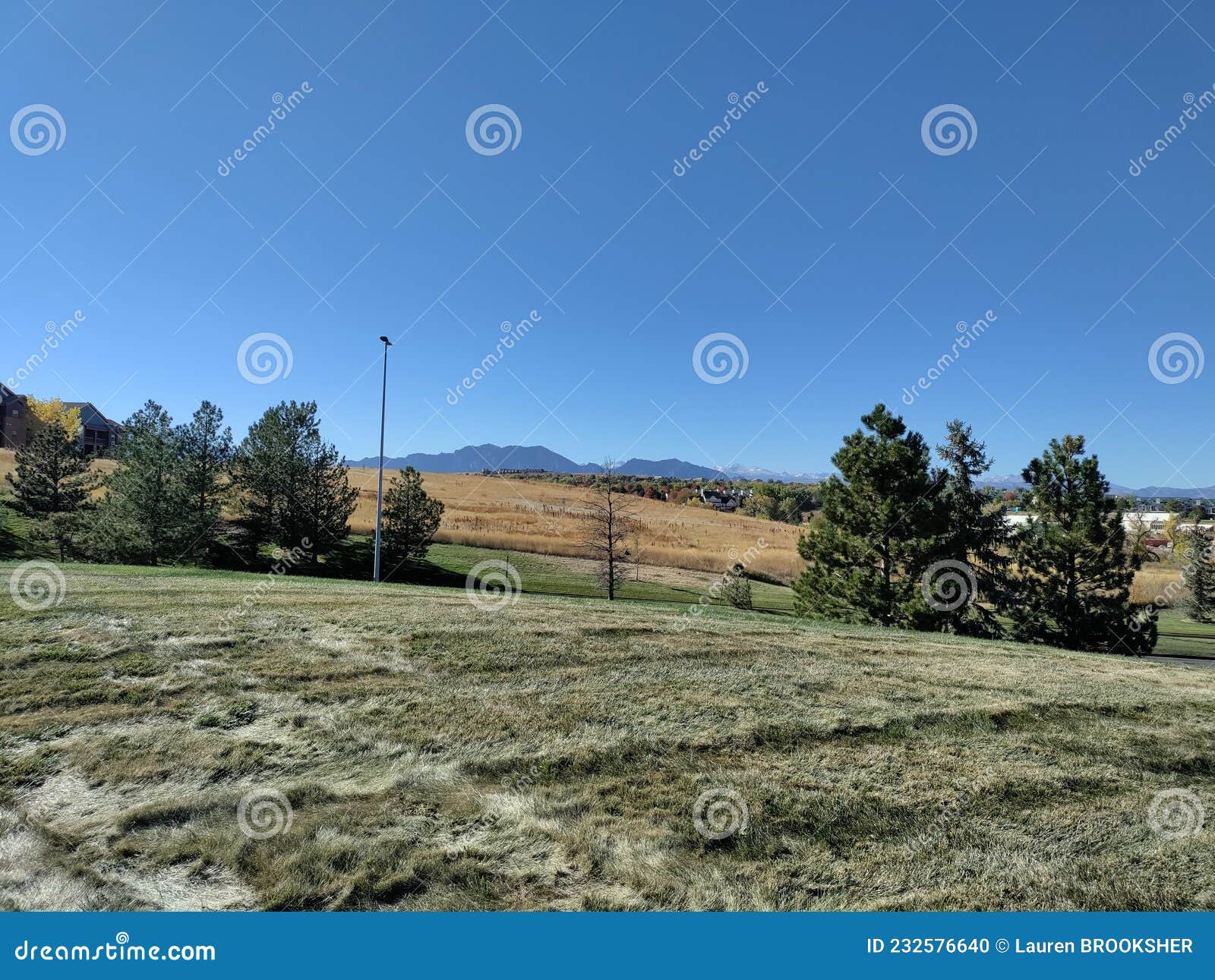 Hierba de monte foto de archivo. Imagen de colina, cielo - 232576640