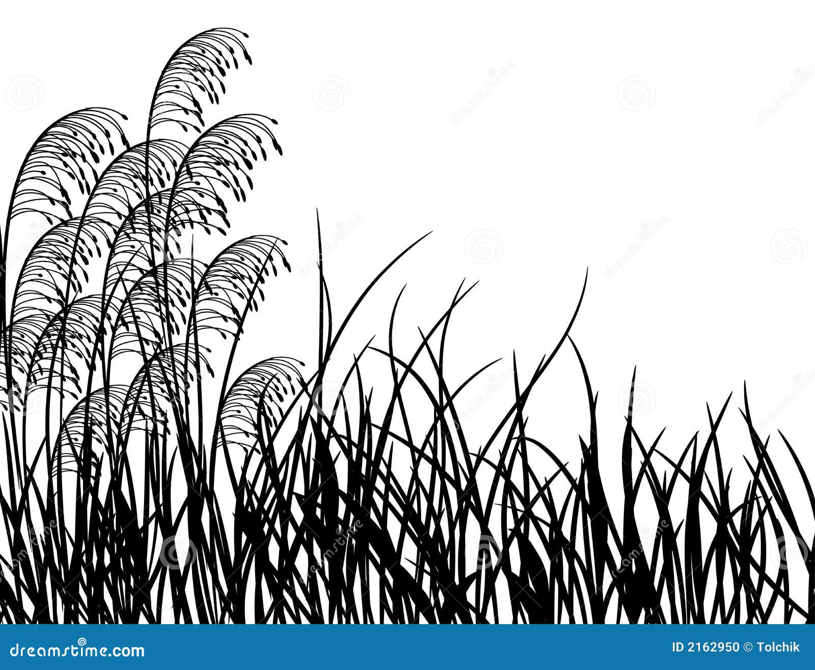 Hierba de prado, vector ilustración del vector. Ilustración de silueta ...