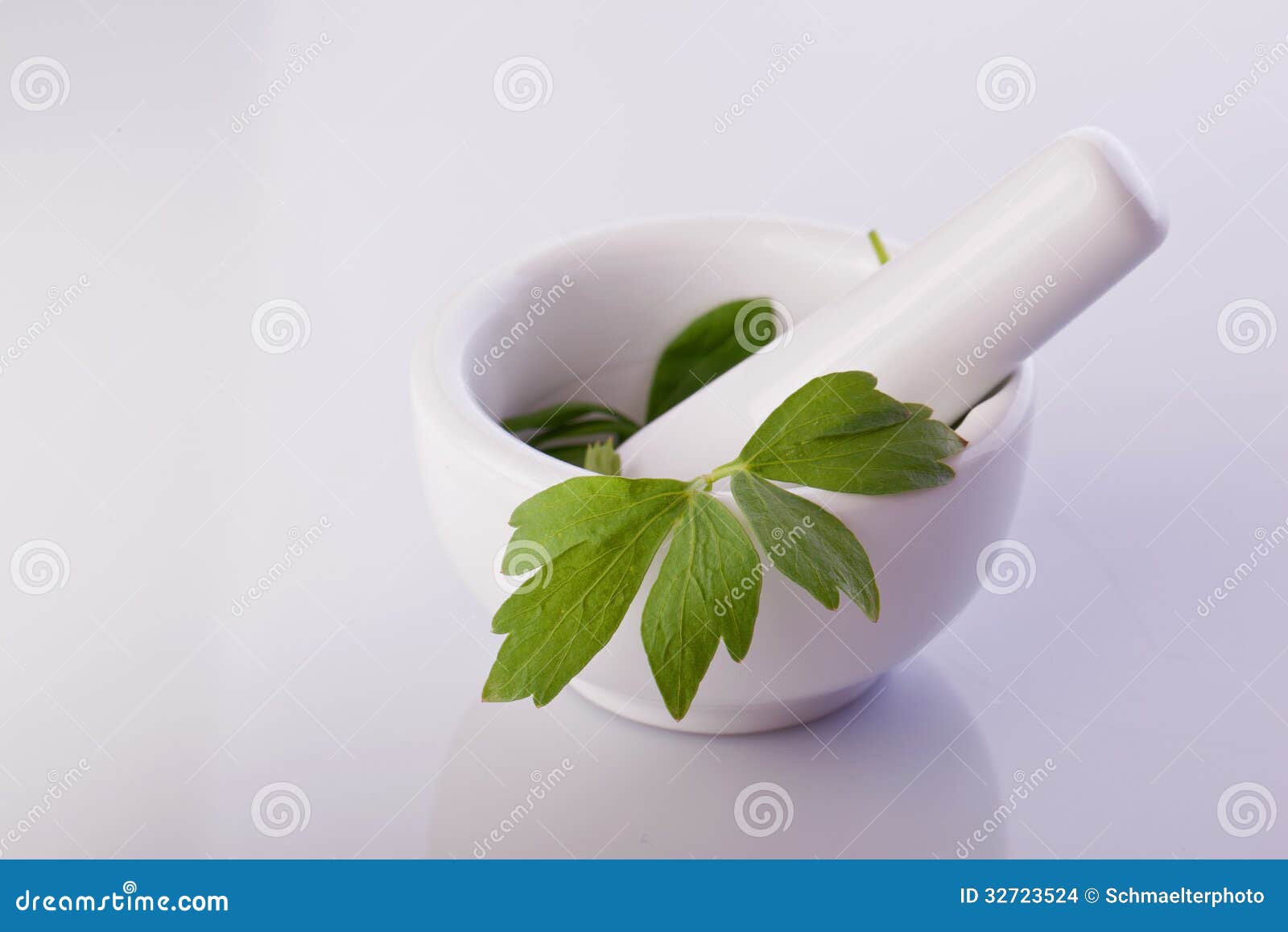 Hierba Del Apio De Monte En Un Mortero Foto de archivo - Imagen de ...