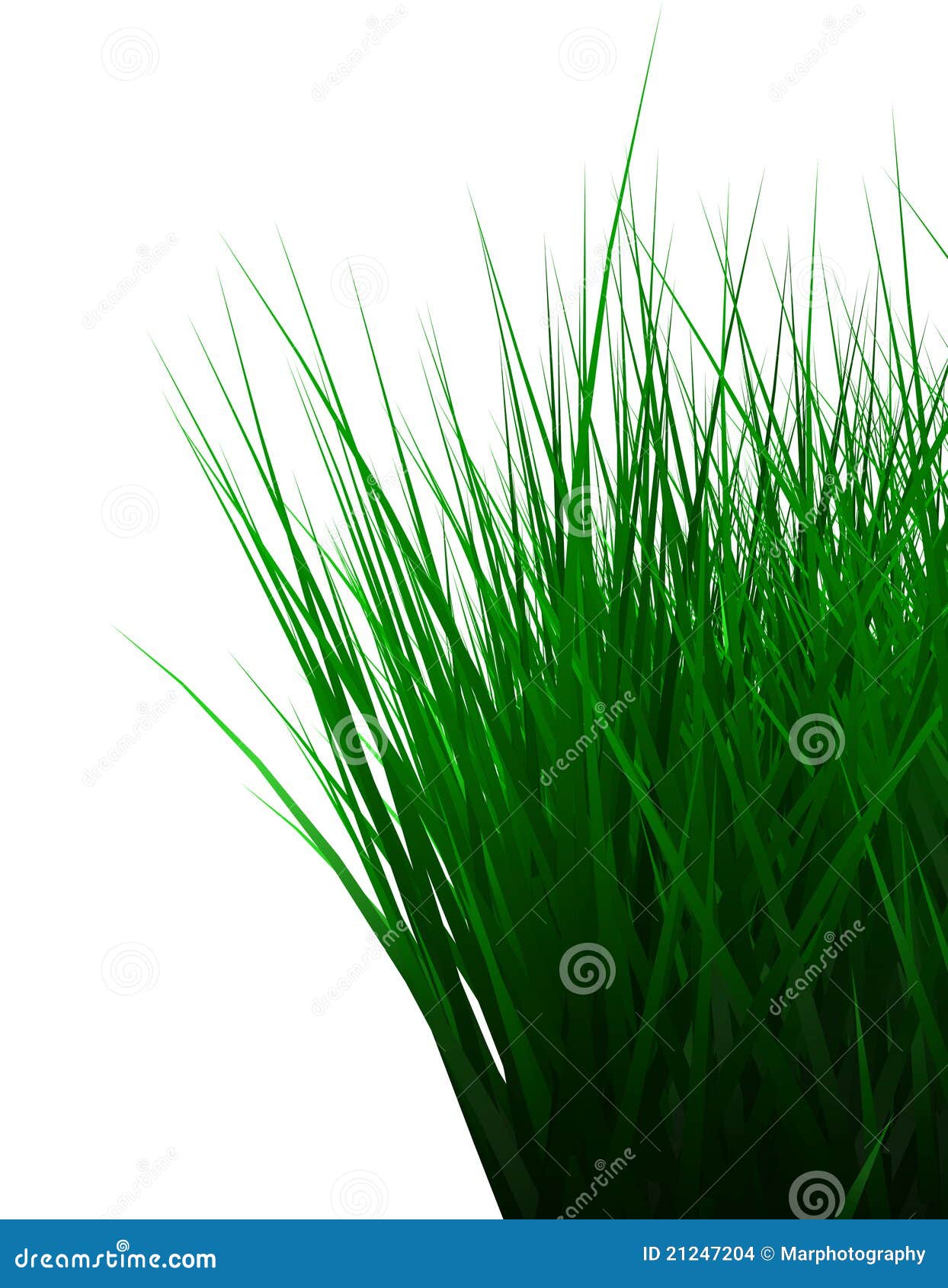 Hierba Del Color Verde Aislada En Blanco Stock de ilustración ...