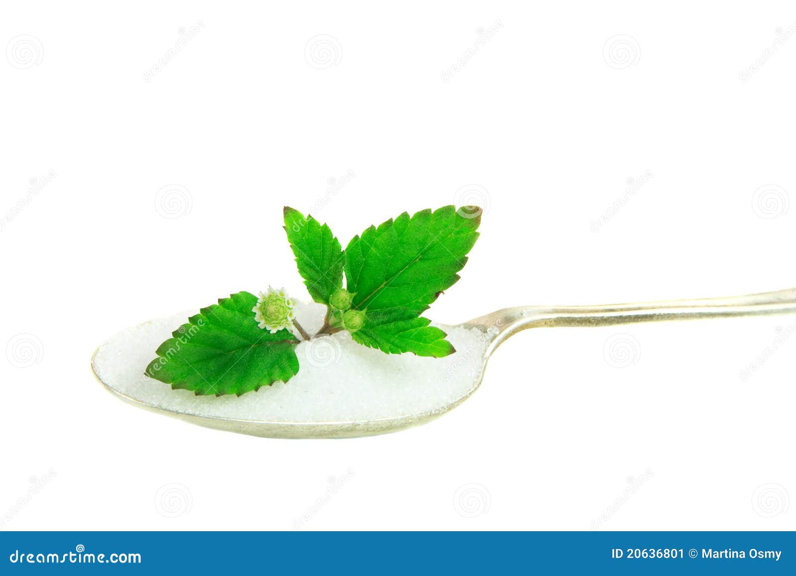 Hierba dulce azteca imagen de archivo. Imagen de sano - 20636801